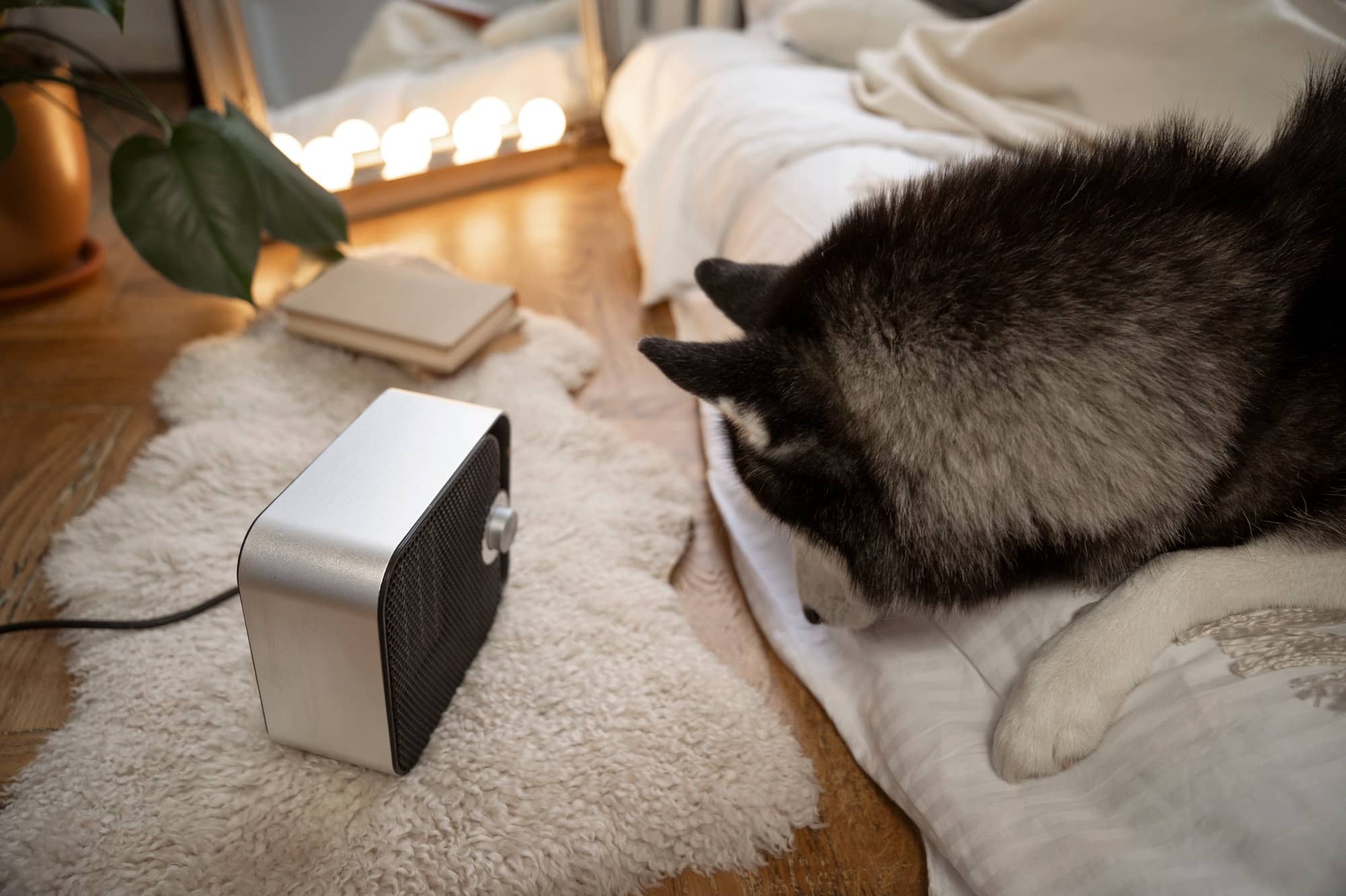 Ceramic Heaters vs Infrared Heaters: Which is Better for You? - TellBest